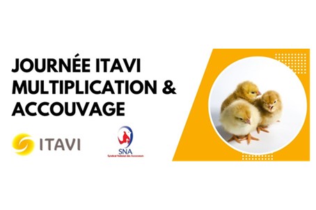 Journée ITAVI multiplication & accouvage / 30 MAI 2023 / A Pacé (35) | La Coopération Agricole